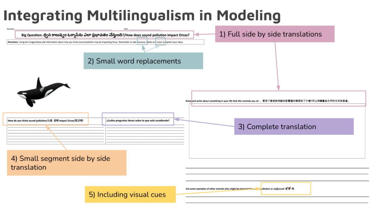 Tips for Designing Model Scaffolds – Ambitious Science Teaching